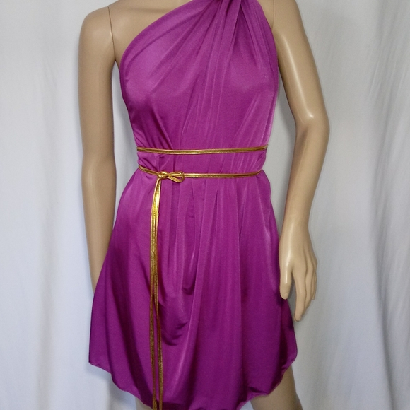 cleopatraslures.com | Dresses | Greek Goddess Toga White Custom No Arm ...